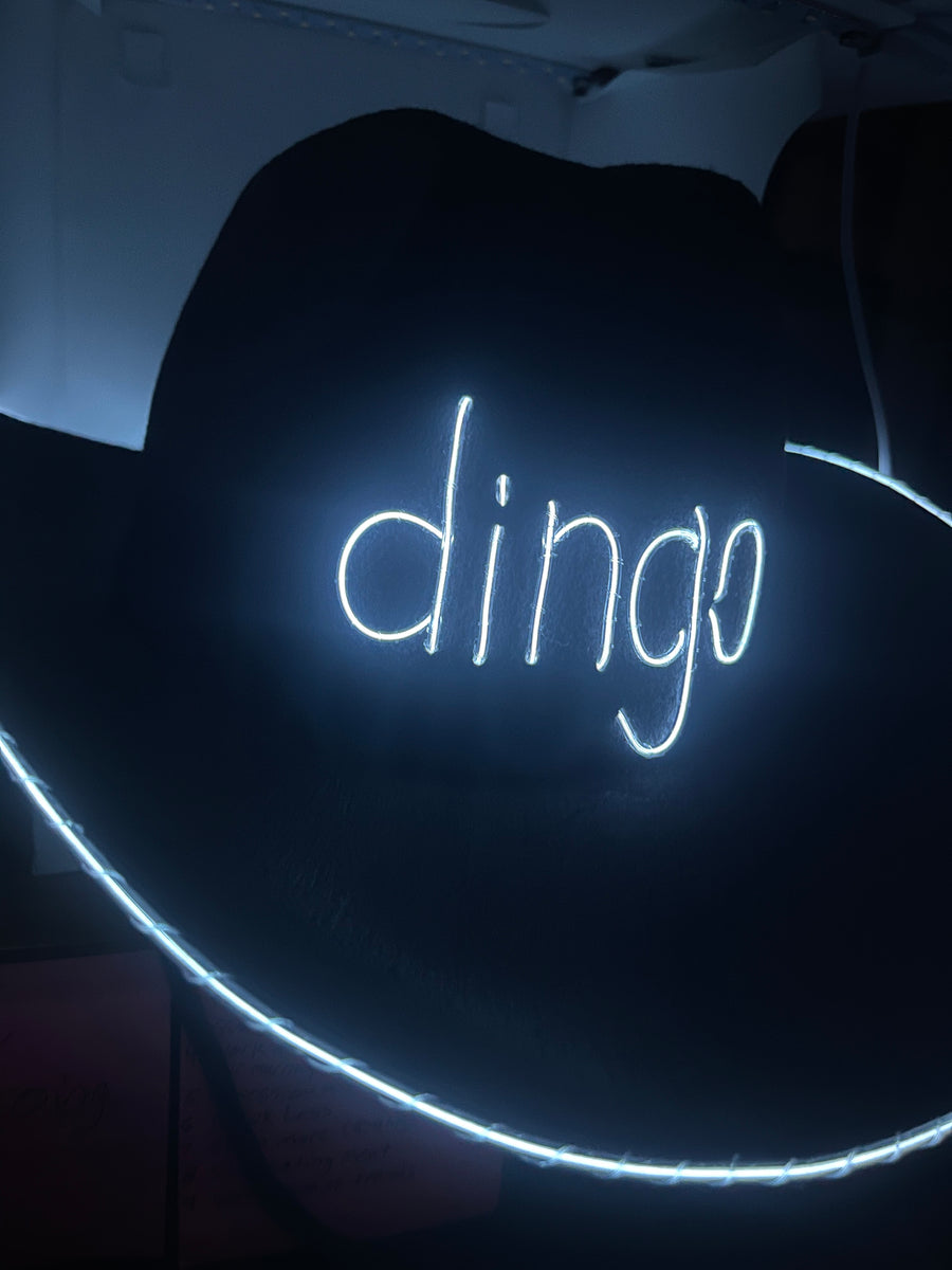 Custom Light Up Cowboy Hat – Lyte Up Clothing